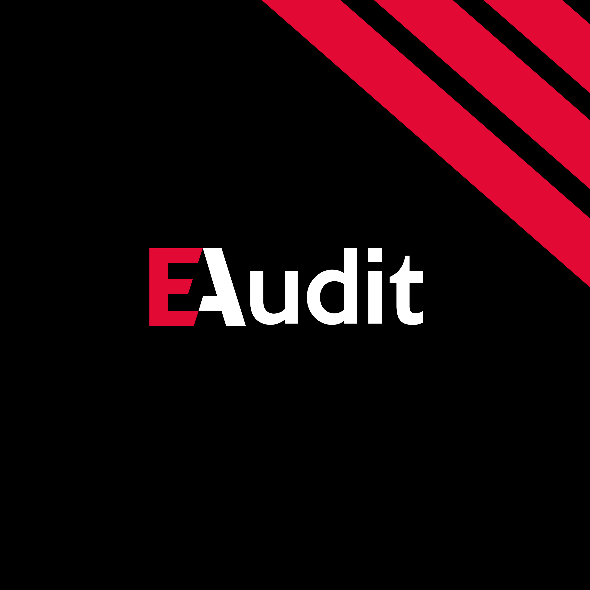 შრომითი ხელშეკრულების ნიმუში » Eaudit.Ge - ელიტ აუდიტი